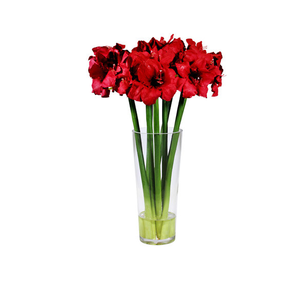 Amaryllis Arrangement Archives - Silk by Design