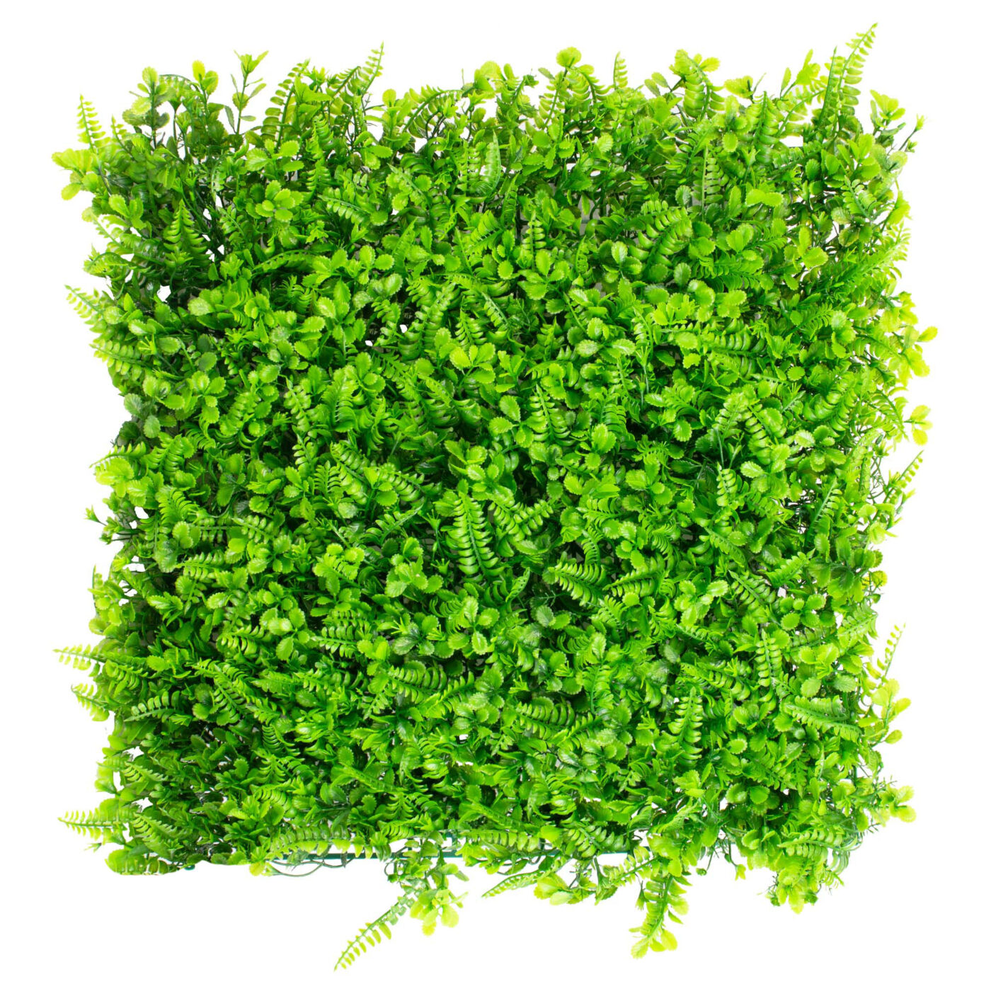 Grass & Sword Fern Mat 50 x 50cm | Green Wall | Silk By Design