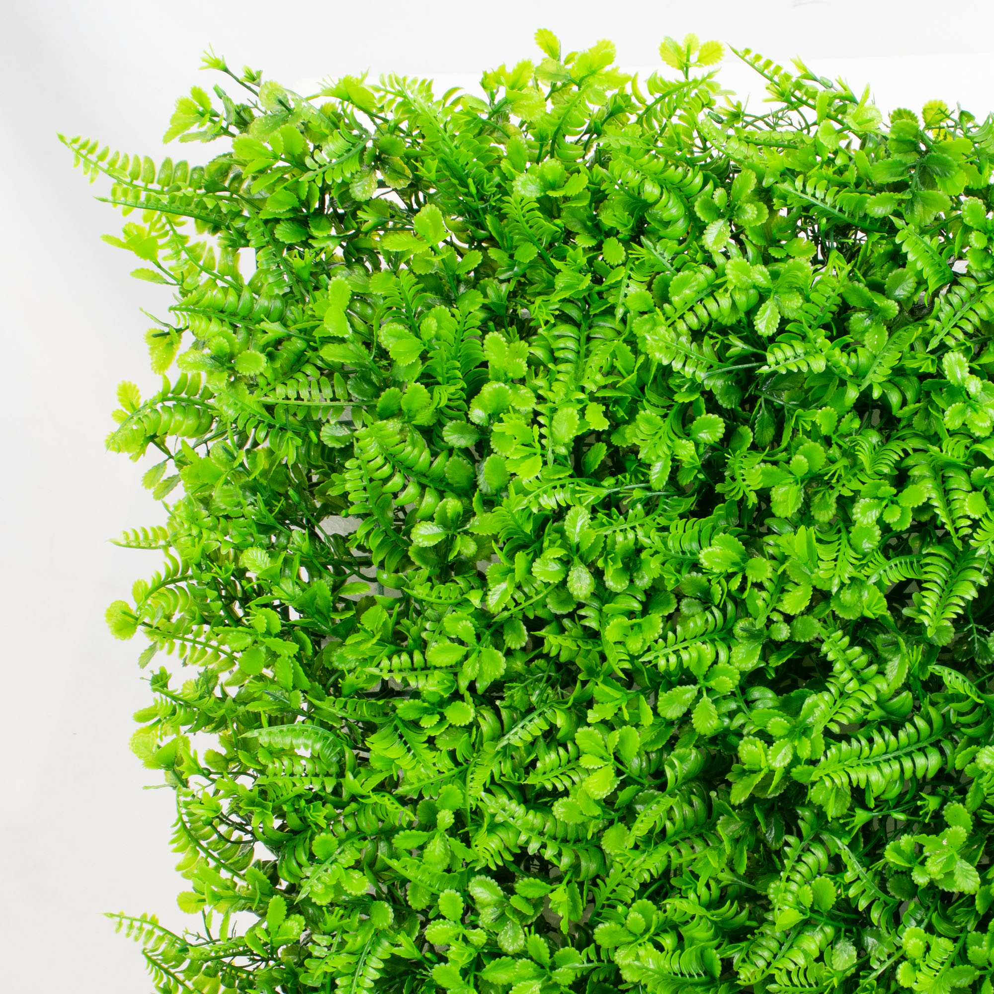 Grass & Sword Fern Mat 50 x 50cm | Green Wall | Silk By Design