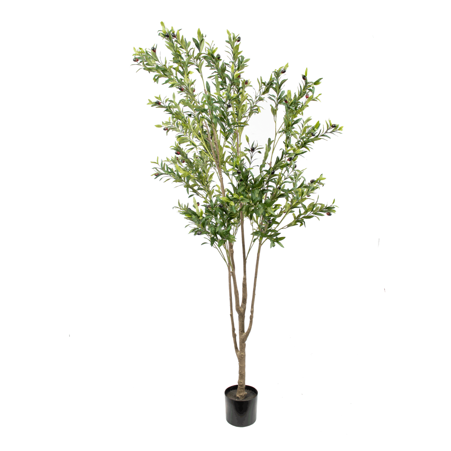 Realistic Olive Tree 190cm | Artificial Trees | Silk By Design