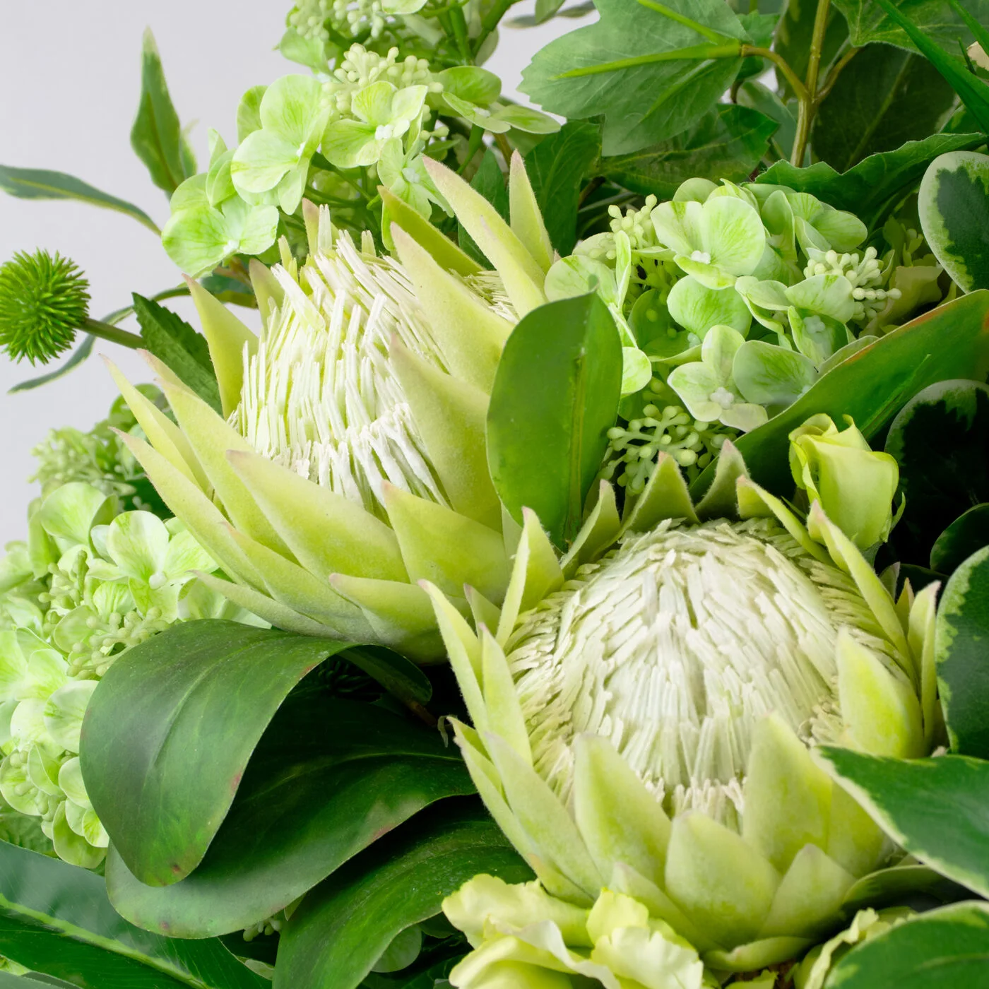Large Artificial Green Protea Arrangement (83cm) | Silk By Design