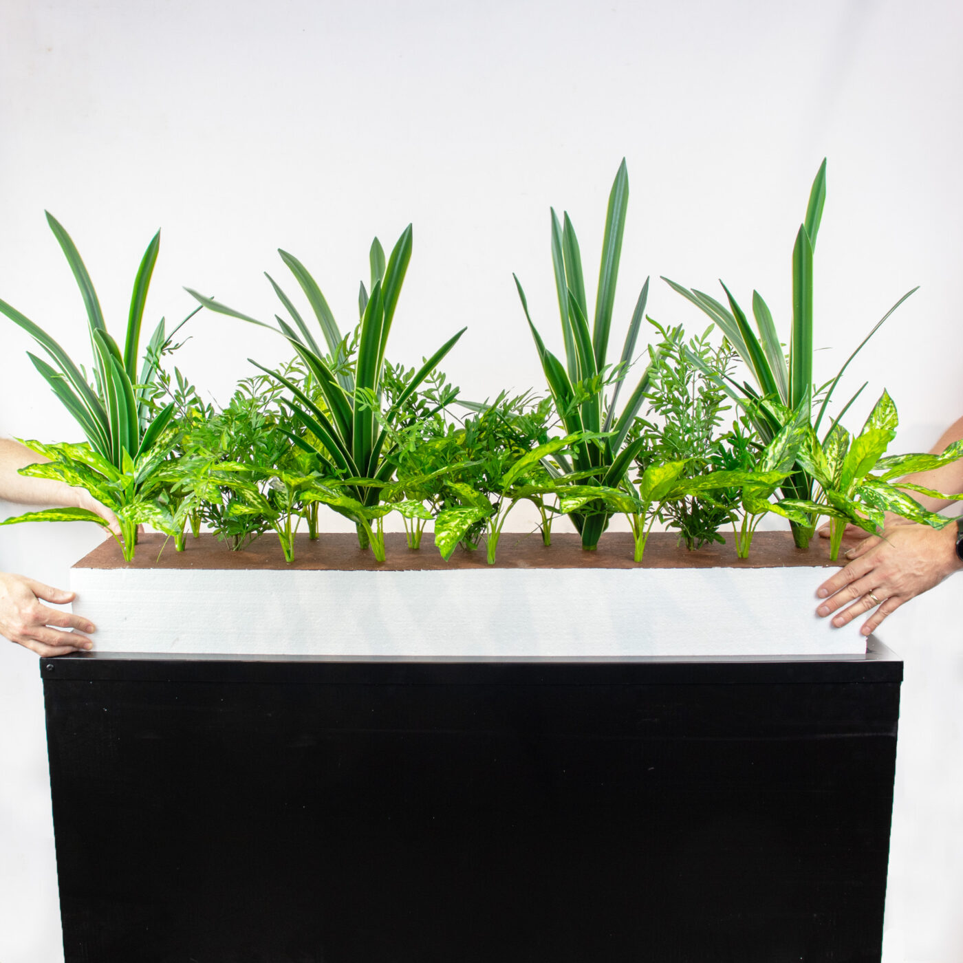 Drop In Planter Gardens | Custom-Made for Commercial Spaces